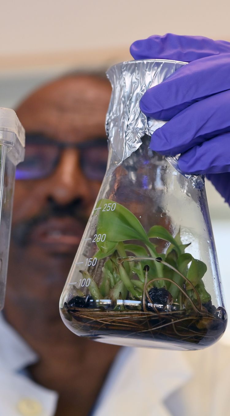 Can ‘cosmic crops’ improve food security on earth?