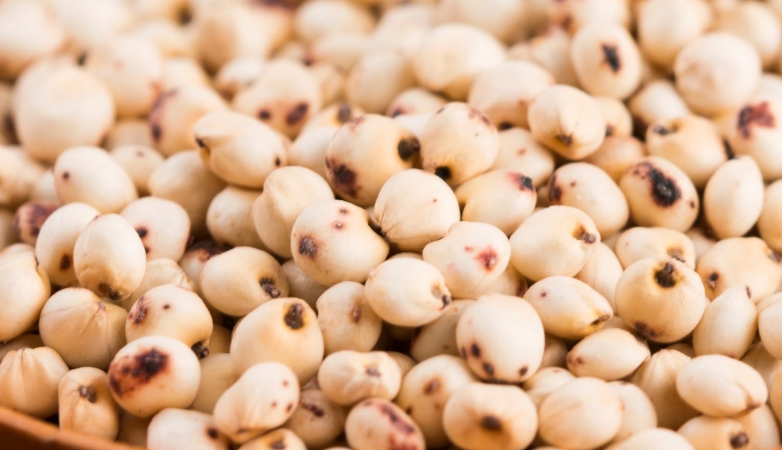 Can ‘cosmic crops’ improve food security on earth?