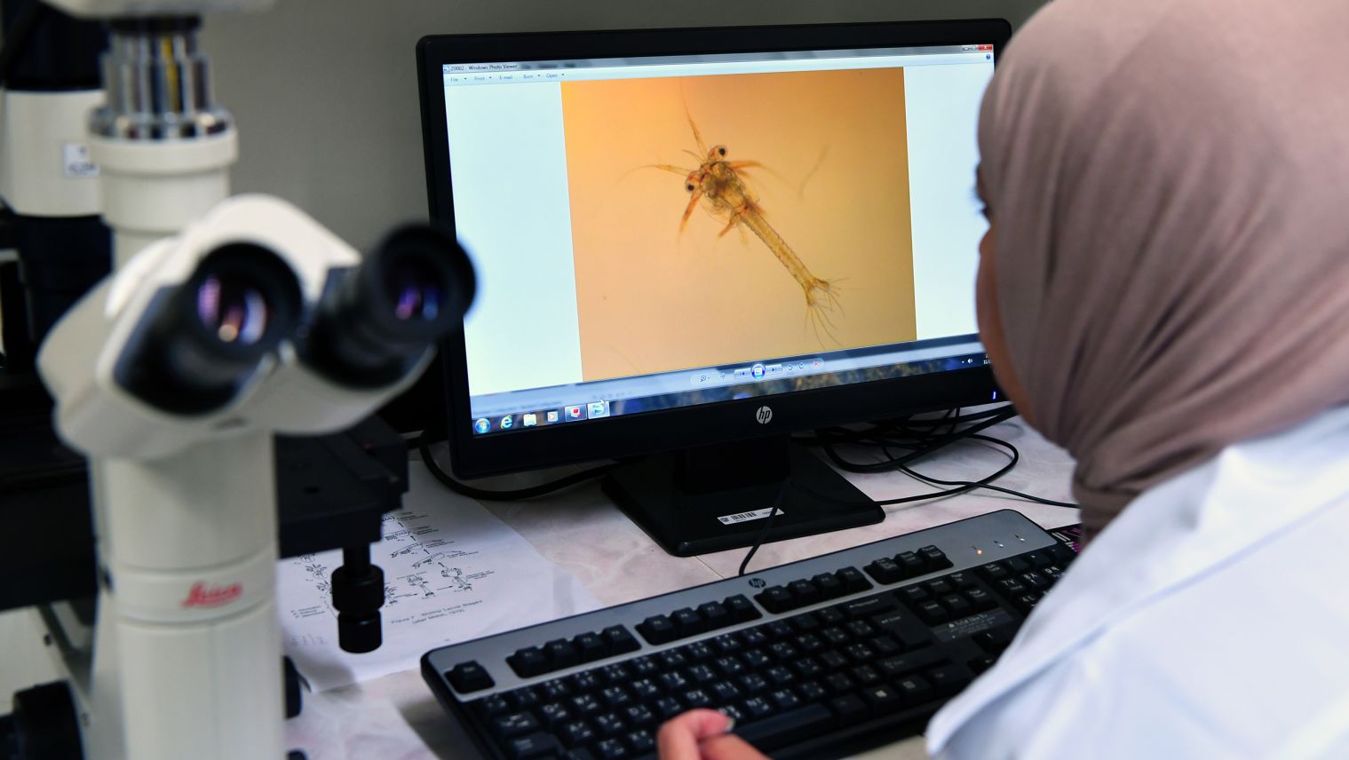 Kuwait monitors oceans using nuclear science